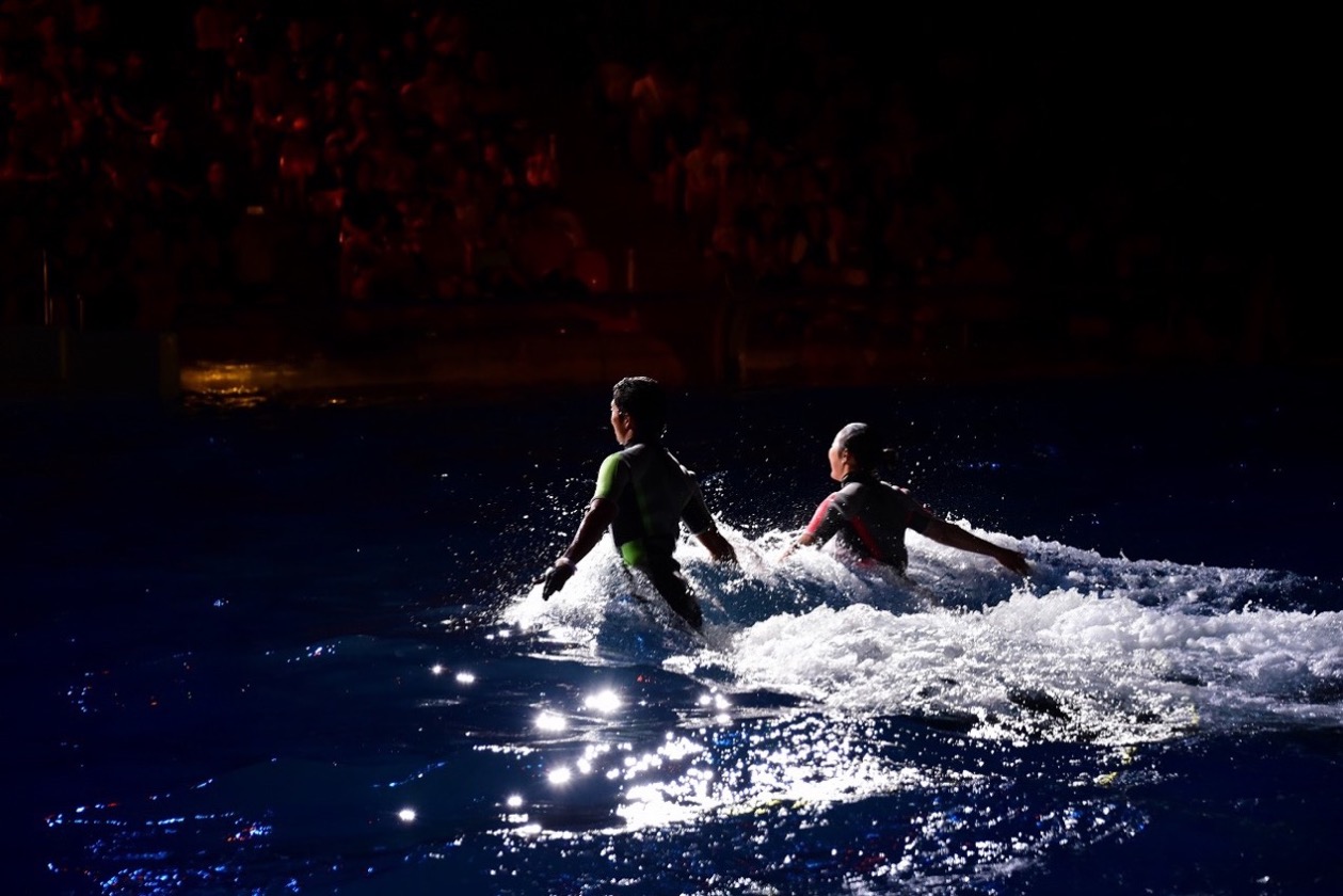 GW Night Adventure GWナイトアドベンチャー